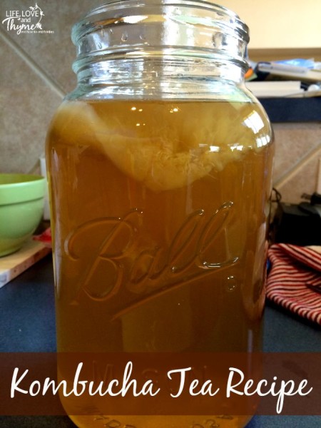 Kombucha Tea Recipe - Life, Love and Thyme